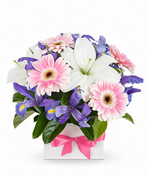 Flowers from $39 - EASYFLOWERS Australia - Send Flowers Online ...
